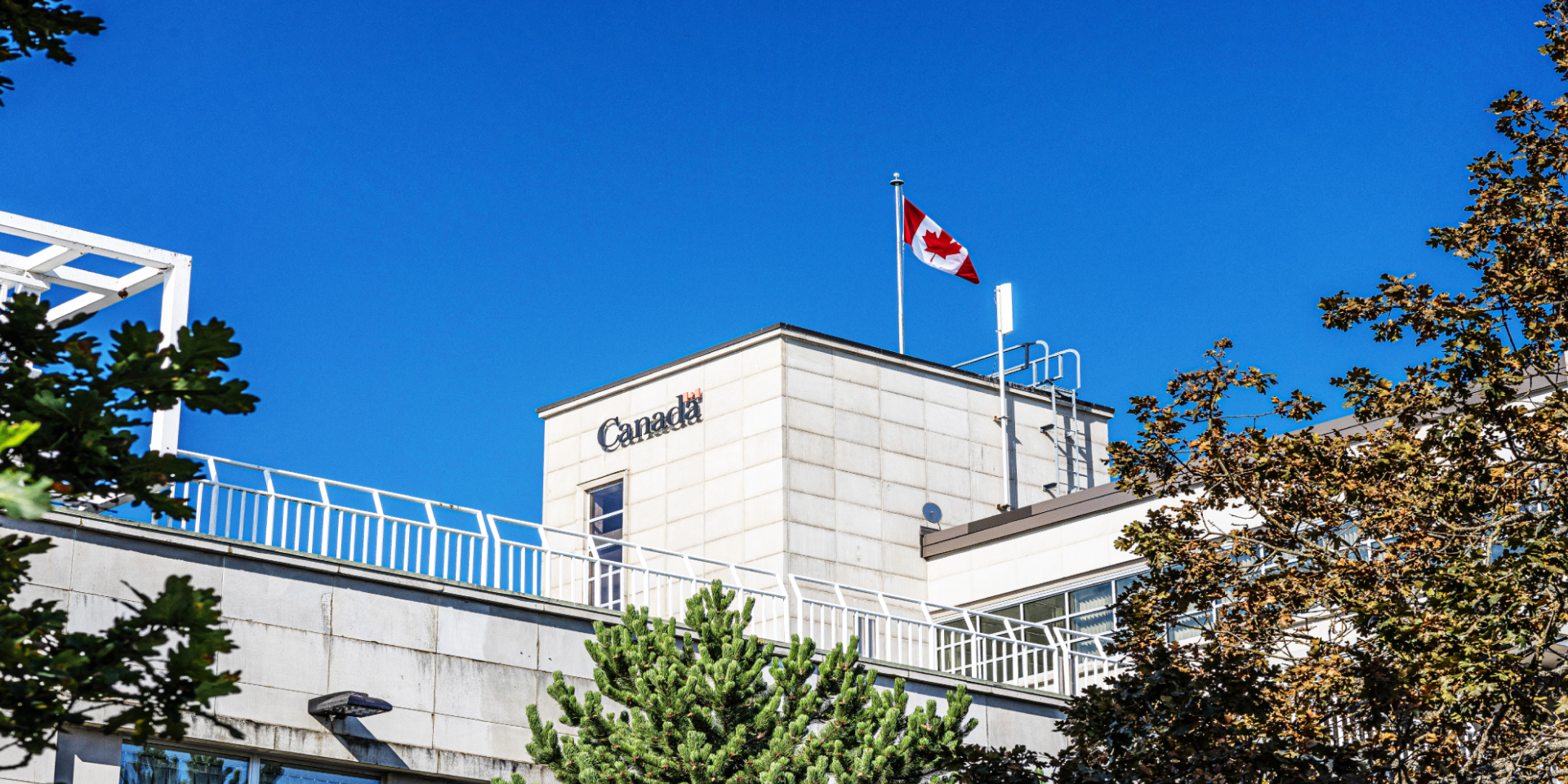 Canadian Embassy vs Consulate: Key Differences Explained