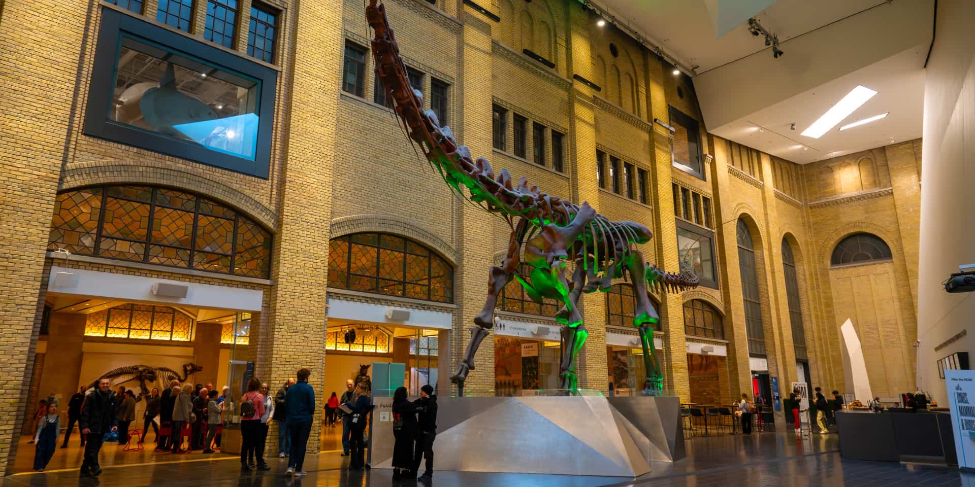 The 12 best museums to visit in Toronto : A Journey Through Art and Culture